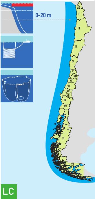 Allothunnus fallai | Recursos hidrobiológicos