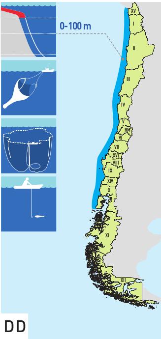 Cilus gilberti | Recursos hidrobiológicos