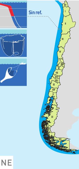 Congiopodus peruvianus | Recursos hidrobiológicos