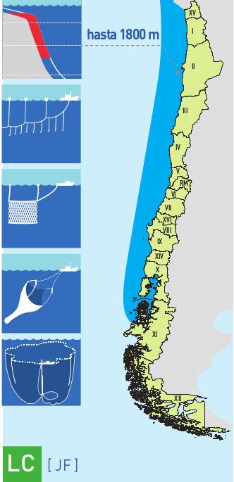 Deania calcea | Recursos hidrobiológicos