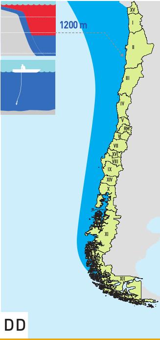 Dosidicus gigas | Recursos hidrobiológicos
