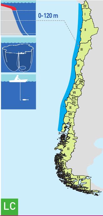 Mugil cephalus | Recursos hidrobiológicos