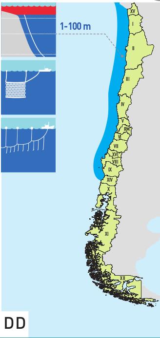 Myliobatis peruvianus | Recursos hidrobiológicos