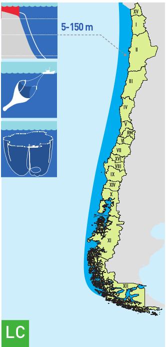 Stromateus stellatus | Recursos hidrobiológicos