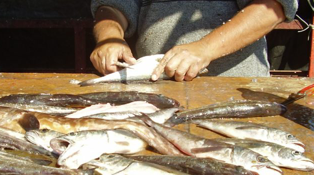 IFOP will be using artificial intelligence in order to optimize ...