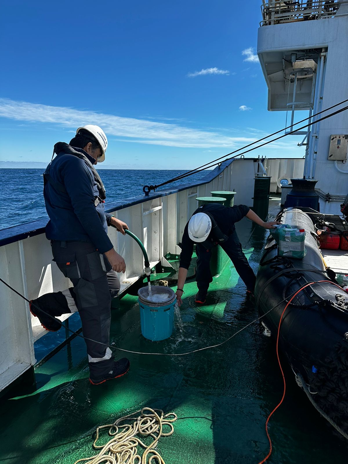 CIMAR29_5 – IFOP ::: Al servicio de la investigación científica de la ...