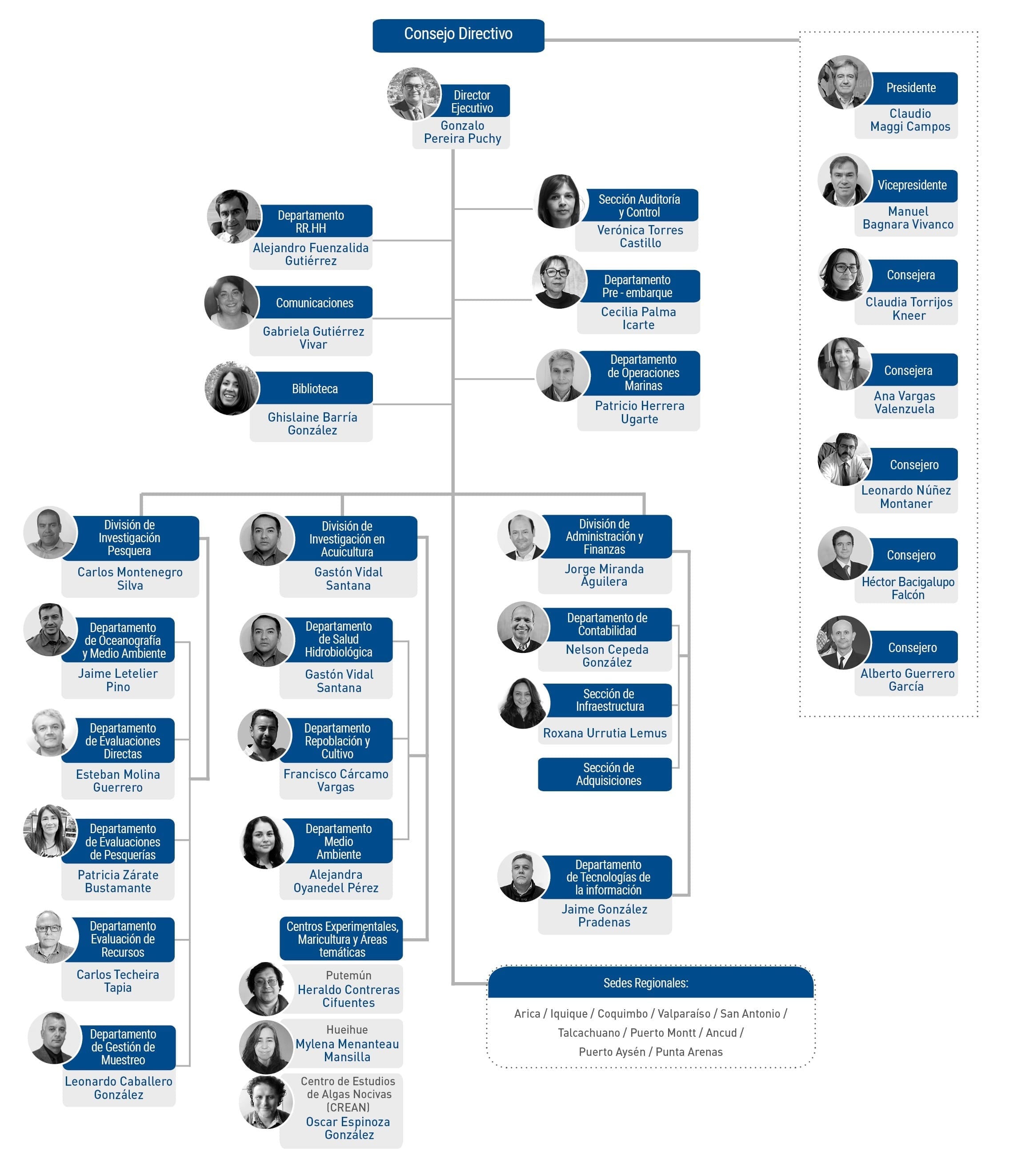 Institutional flowchart | IFOP :: Generating knowledge and sustainability